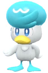 Archivo:Quaxly EP.webm - WikiDex, la enciclopedia Pokémon