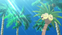 Exeggutor de Alola - WikiDex, la enciclopedia Pokémon