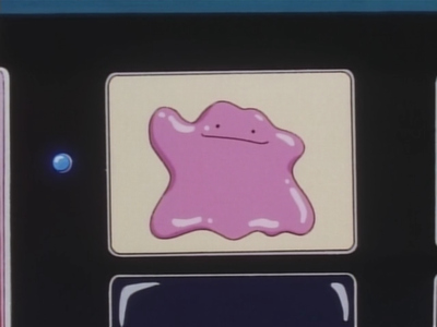 EP113: Hola, Pomelo/Hola, Pummelo - WikiDex, la enciclopedia Pokémon