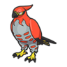 Talonflame - WikiDex, la enciclopedia Pokémon