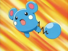 Azurill - WikiDex, la enciclopedia Pokémon