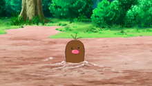 Diglett de Alola - WikiDex, la enciclopedia Pokémon