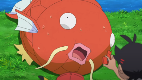 Magikarp gigante de Goh - WikiDex, la enciclopedia Pokémon