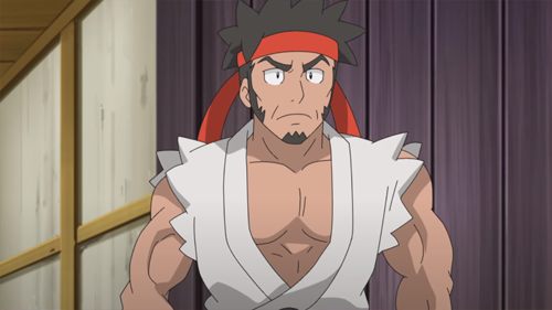 Maestro Karateka - WikiDex, la enciclopedia Pokémon