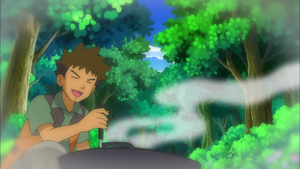 Brock (anime) - WikiDex, la enciclopedia Pokémon