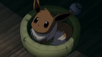 Eevee - WikiDex, la enciclopedia Pokémon