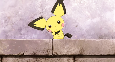 Pichu picoreja - WikiDex, la enciclopedia Pokémon