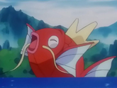 Magikarp - WikiDex, la enciclopedia Pokémon