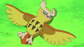 Noctowl de Ash - WikiDex, la enciclopedia Pokémon
