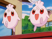 Igglybuff - WikiDex, la enciclopedia Pokémon