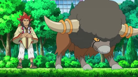 Categoría:Pokémon de Alder/Mirto - WikiDex, la enciclopedia Pokémon