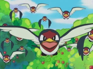 Swellow de Ash - WikiDex, la enciclopedia Pokémon