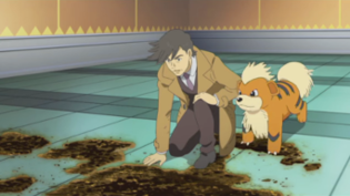 Handsome - WikiDex, la enciclopedia Pokémon