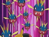 Carvanha - WikiDex, la enciclopedia Pokémon