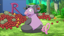 Grumpig - WikiDex, la enciclopedia Pokémon