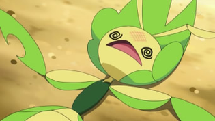 Leavanny de Ash - WikiDex, la enciclopedia Pokémon