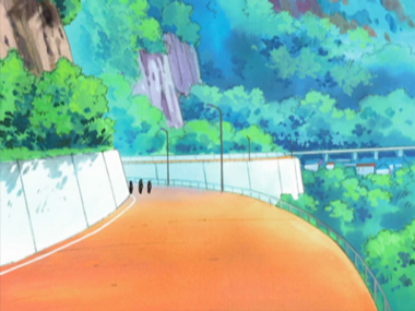 Ruta 206 - WikiDex, la enciclopedia Pokémon