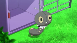 Categoría:Scatterbug - WikiDex, la enciclopedia Pokémon