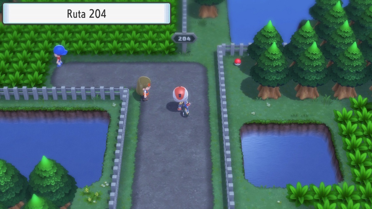 Ruta 204 - WikiDex, la enciclopedia Pokémon