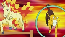Rapidash - WikiDex, la enciclopedia Pokémon