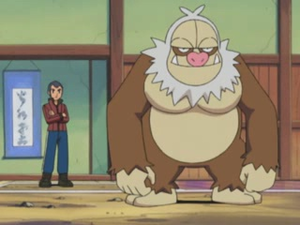 Slaking - WikiDex, la enciclopedia Pokémon