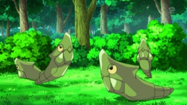 Metapod - WikiDex, la enciclopedia Pokémon