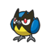 Rookidee - WikiDex, la enciclopedia Pokémon
