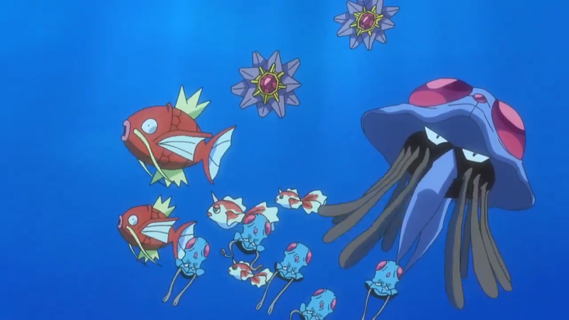 Archivo:EP1091 Pokémon marinos (2).png - WikiDex, la enciclopedia Pokémon