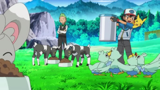 Bobby - WikiDex, la enciclopedia Pokémon