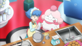 Categoría:Pokémon de Miette - WikiDex, la enciclopedia Pokémon