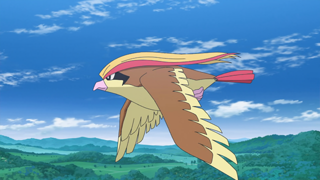 Archivo:EP1237 Pidgeot.png - WikiDex, la enciclopedia Pokémon