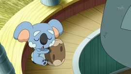 Categoría:Komala - WikiDex, la enciclopedia Pokémon
