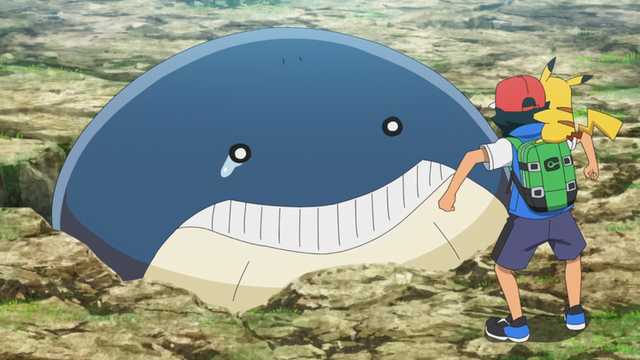 Archivo:EP1232 Wailmer atascado.png - WikiDex, la enciclopedia Pokémon