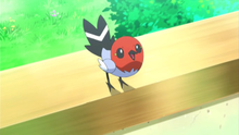 Fletchling - WikiDex, la enciclopedia Pokémon