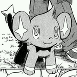 Shinx - WikiDex, la enciclopedia Pokémon