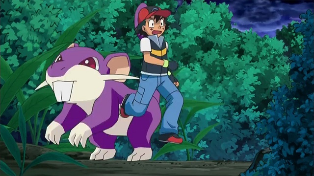Archivo:EP609 Rattata.jpg - WikiDex, la enciclopedia Pokémon