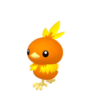 Torchic - WikiDex, la enciclopedia Pokémon