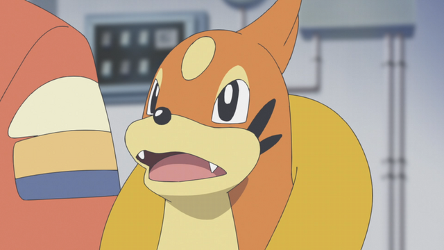 Archivo:EP1267 Floatzel.png - WikiDex, la enciclopedia Pokémon