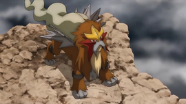 Entei - WikiDex, la enciclopedia Pokémon