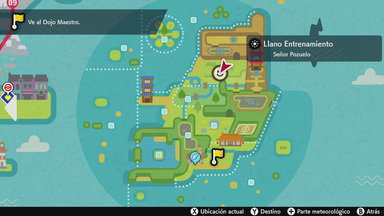 Llano Entrenamiento - WikiDex, la enciclopedia Pokémon