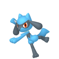 Riolu - WikiDex, la enciclopedia Pokémon