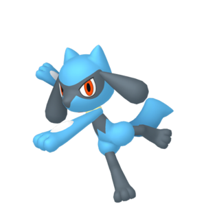 Riolu - WikiDex, la enciclopedia Pokémon