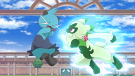 Categoría:Floragato - WikiDex, la enciclopedia Pokémon