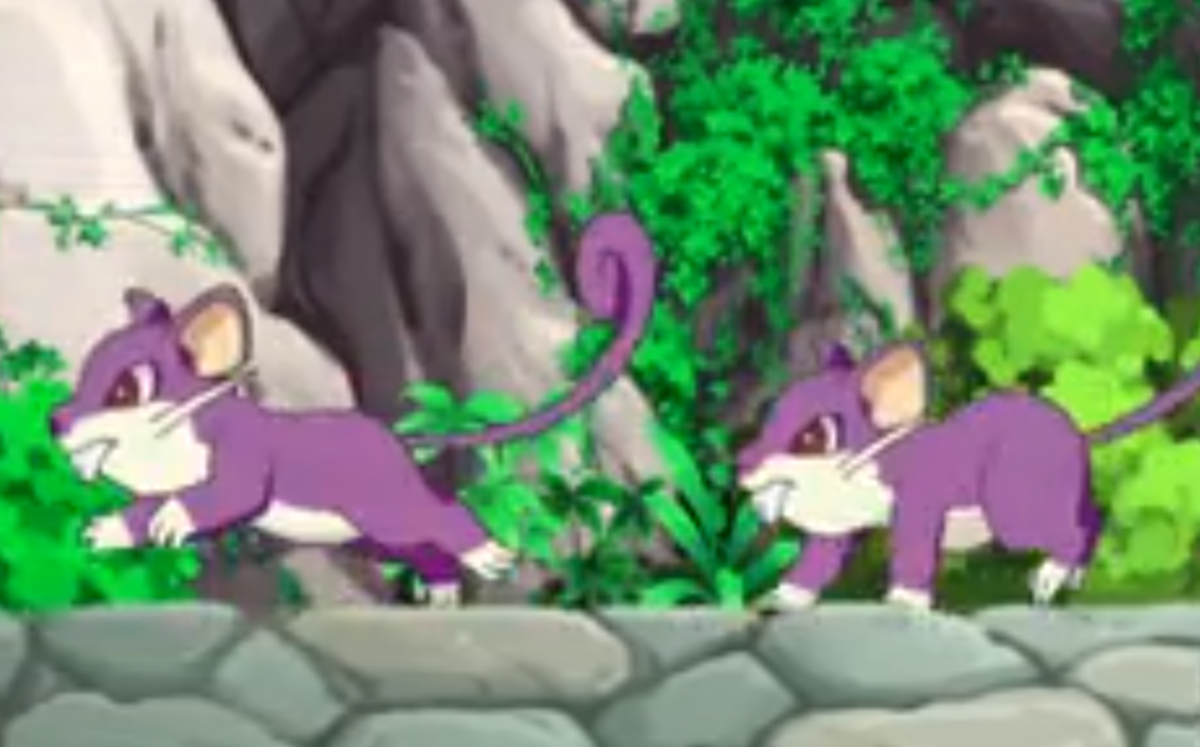 Archivo:EP748 Rattata.png - WikiDex, la enciclopedia Pokémon