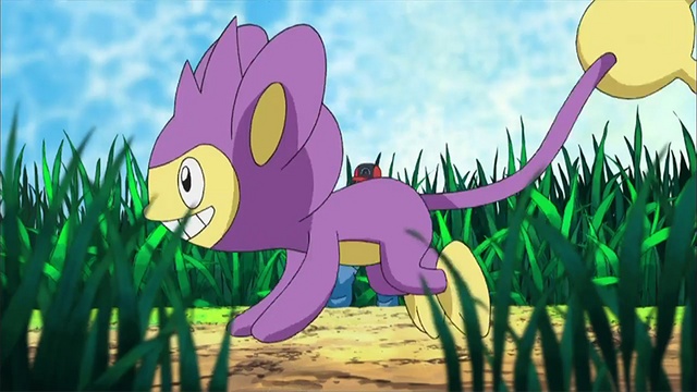 Archivo:EP609 Aipom.jpg - WikiDex, la enciclopedia Pokémon