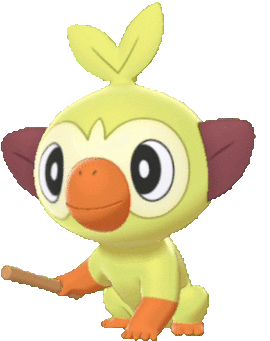 Categoría:Grookey - WikiDex, la enciclopedia Pokémon