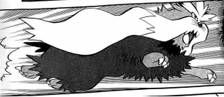 Lenora/Aloe - WikiDex, la enciclopedia Pokémon