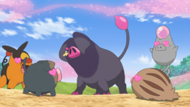 Categoría:Oinkologne - WikiDex, la enciclopedia Pokémon