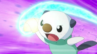 Concha filo - WikiDex, la enciclopedia Pokémon