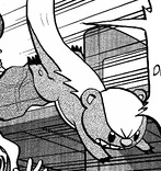 Yungoos - WikiDex, la enciclopedia Pokémon